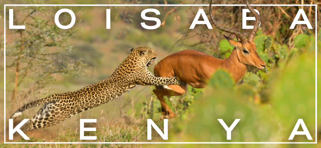 This is Kenya!?! First Impressions of Loisaba in Africa!